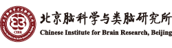 北京脑科学与类脑研究所邮件系统